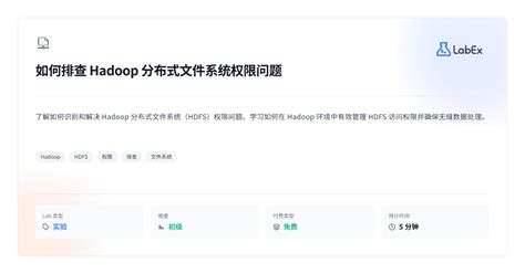 如何排查 Hadoop 分布式文件系统权限问题 Labex