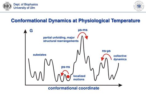 Ppt Exploring The Rugged Conformational Energy Landscape Of Proteins