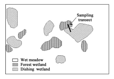 Sketch Map Of The Sampling Transect Download Scientific Diagram