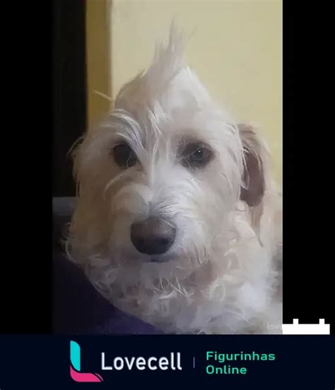Figurinha Cachorro Triste Com Topete Para Whatsapp Lovecell