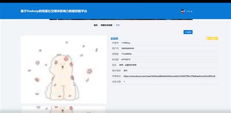 基于hadoop的明星社交媒体影响力数据挖掘平台设计和实现 源码 论文 部署讲解等 csdn博客