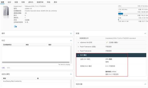 vsphere clustering service vcls 虚拟机异常处理 丁辉博客