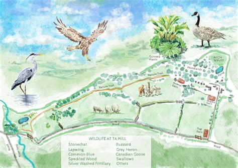 Testimonials What Do The Customers Have To Say About Ta Mill