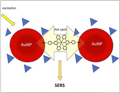 Journal Of Raman Spectroscopy Vol 55 No 5