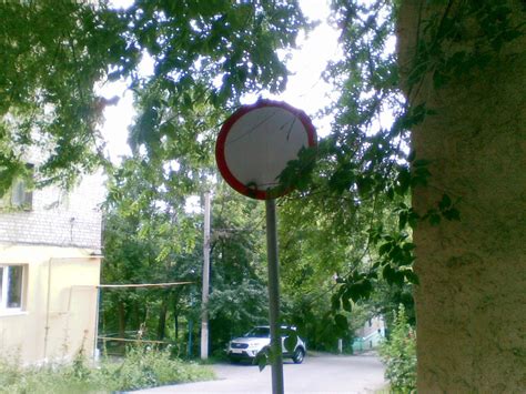А кто это там спрятался? | Пикабу