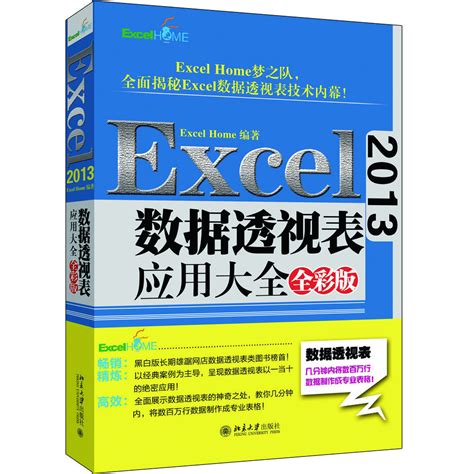 Excel 2013数据透视表应用大全（全彩版）北京大学旗舰店正版虎窝淘