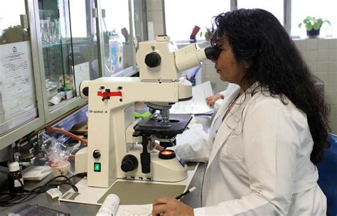 Specimen Processor Job Description Template