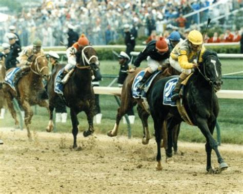 Sunday Silence The Star No One Wanted Americas Best Racing