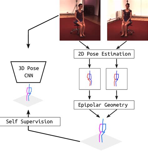 Epipolarpose Uses 2d Pose Estimation And Epipolar Geometry To Obtain 3d