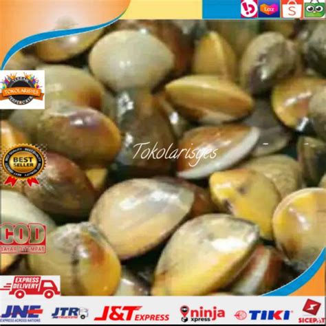 Jual Remis Sungai Obat Herbal Liver Penyakit Kuning Cece Haremis