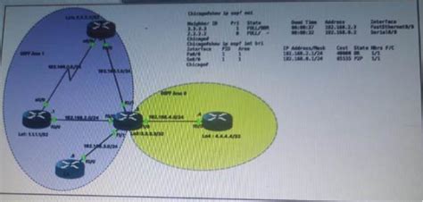 Which Router Is The Designated Router On The Segment 192 168 0 0 24 Exam4training