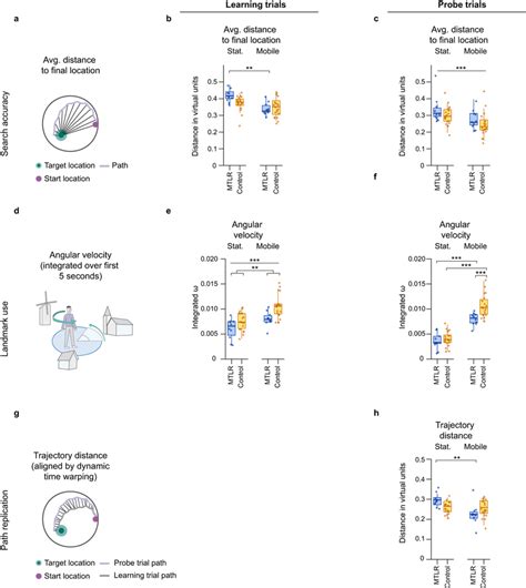 Navigation Strategies In Learning And Probe Trials A Schematic Download Scientific Diagram