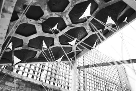 Hybridbiostructures More Cc Testing Manipulating Form