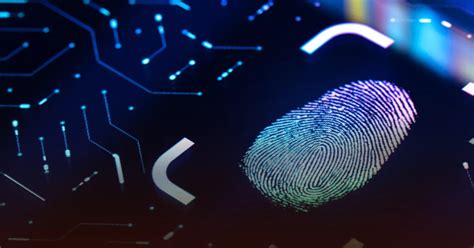 biometric analysis and data collection exponent