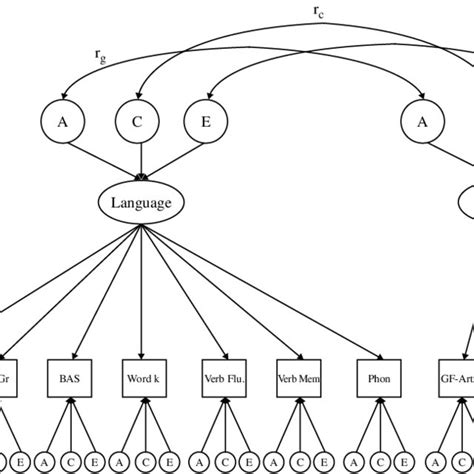 Path Diagram For Multivariate Common Pathways Model With Two Download Scientific Diagram