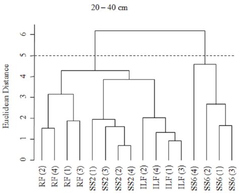 Dendrogram Resulting From Cluster Analysis Related To Soil Properties