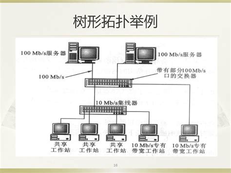 计算机网络与网页制作 Chapter 02：两类基本网络 Ppt Download