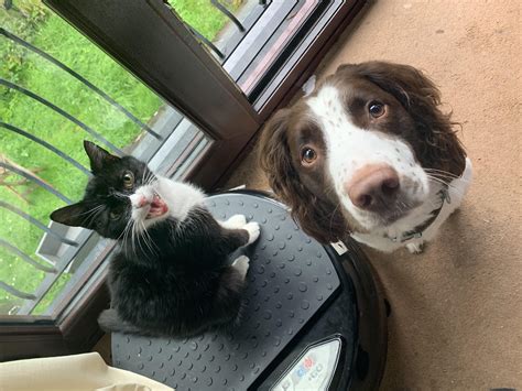 655 Best Step Brothers Images On Pholder Movie Details Hol Up And Pics