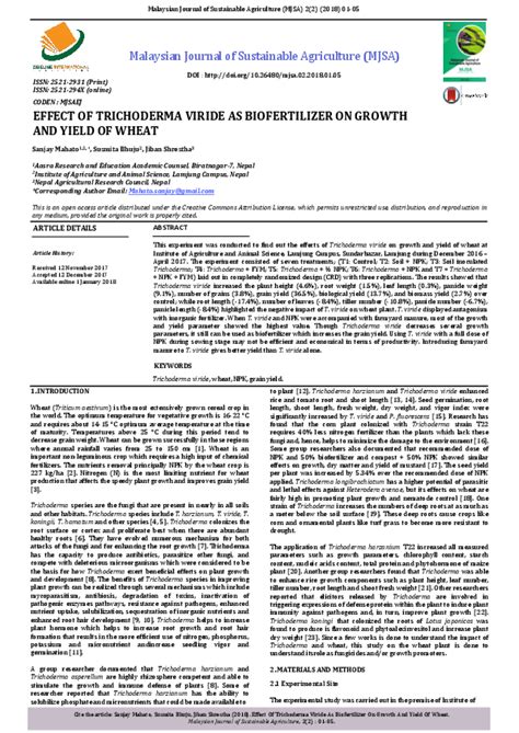 Pdf Effect Of Trichoderma Viride As Biofertilizer On Growth And Yield Of Wheat