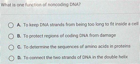 Solved What Is One Function Of Noncoding Dna A To Keep Dna Strands