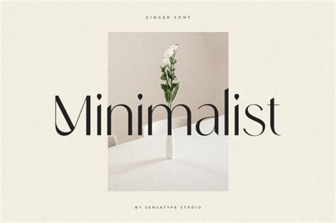 Ginger Font Download Fonts