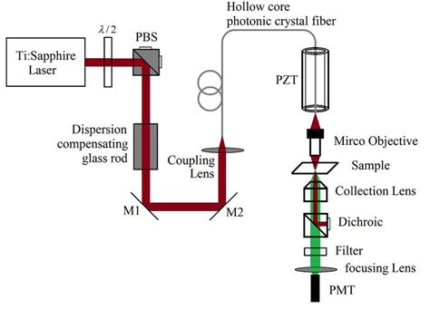 Schematic Illustration Of The Imaging System And Optical Path Download Scientific Diagram