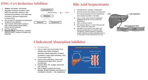 First 3 Hyperlipidemia Drug Classes Statins Bile Acid Sequestrants