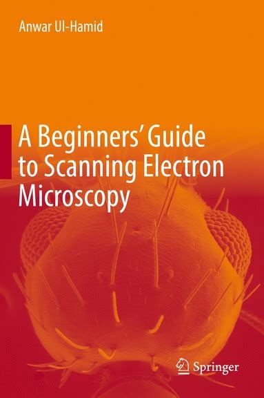 Beginners Guide To Scanning Electron Microscopy Anwar Ul Hamid