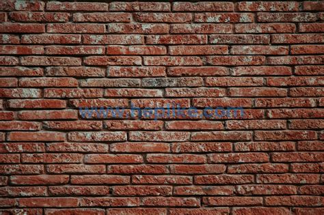 Layer 2 Solutions Scaling Ethereum For Mass Adoption