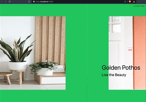 Reactjs Gsap Scroll Trigger Pin Property Makes Whitespace And Hide