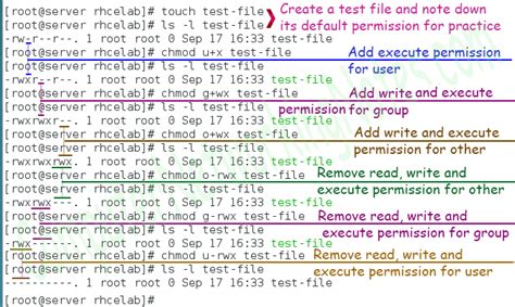 How To Use Chmod Command In Linux Explained With Examples