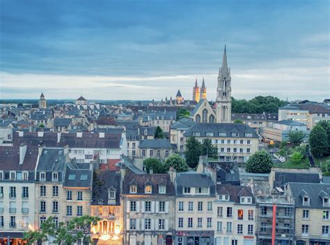 Epping Forest Ecosystem Hodder Education Magazines