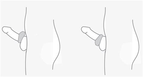 Pivot Positions 1007x574 PNG Download PNGkit