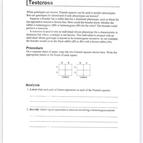 solved testcross when genotypes are known punnett squares