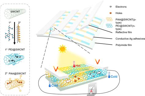 Manipulating Single Walled Carbon Nanotube Arrays For Flexible Photothermoelectric Devices Jacs Au