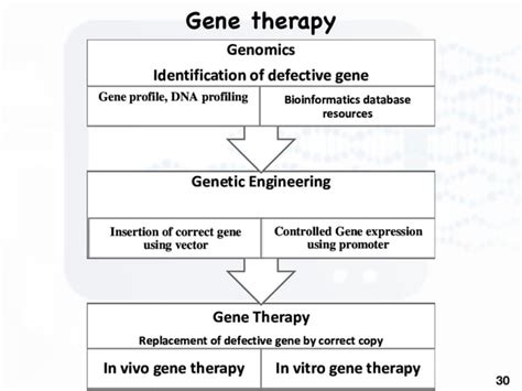 Bioinformatics Seminar Pdf