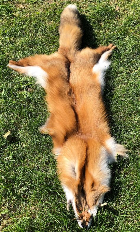 High Quality 1st Class Red Fox Pelt Real Wild Fox Furs Genuine Throw