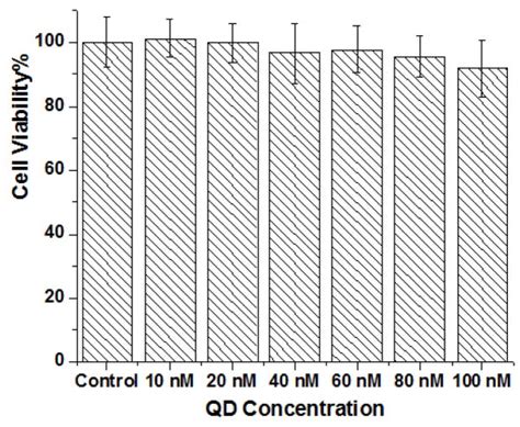Triblock Copolymer Encapsulated Nanoparticles With Outstanding