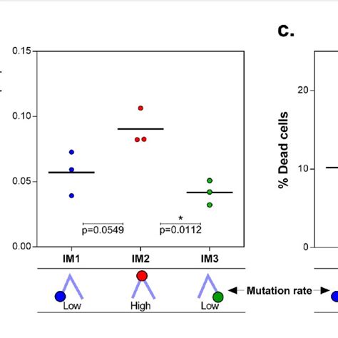 Mortality Is The Cost Of Hypermutation In Evolved Strains When High Download Scientific Diagram