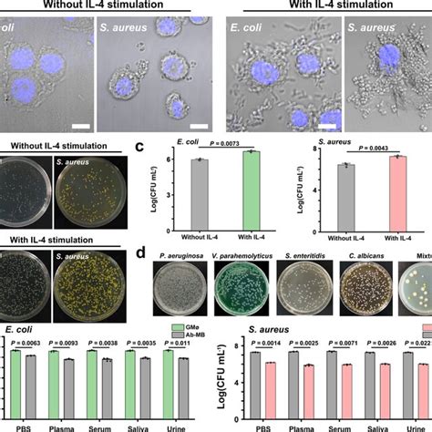 Investigation Of Gmø Based Bacteria Recognition And Capture A Confocal Download Scientific