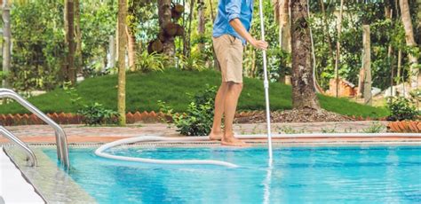How To Prevent And Treat Mustard Algae In Your Pool