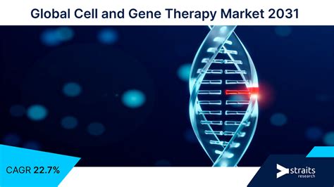 Global Leaders And Strategic Moves Mapping The Competitive Landscape