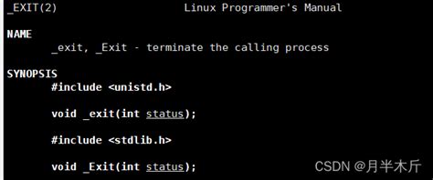 进程终止与退出码：详解exit Exit与缓冲管理 Csdn博客