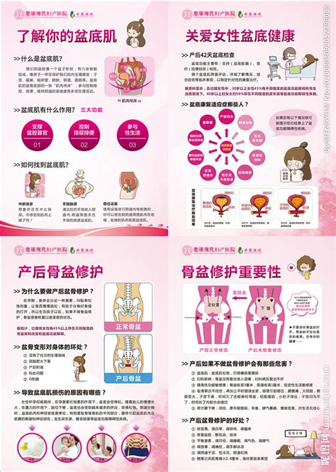 盆底肌 骨盆修护 产后康复