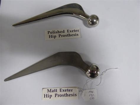 Polished And Matt Exeter Hip Prosthesis Examples Am152or Ehive