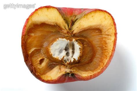 Badly Shrinked Apple With Moldy Core On White Background 이미지