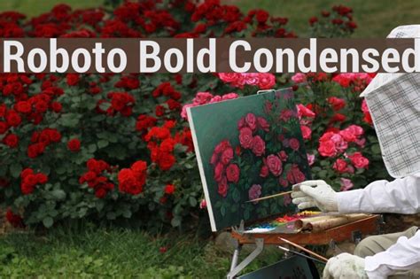 Roboto Bold Condensed Font FFonts Net