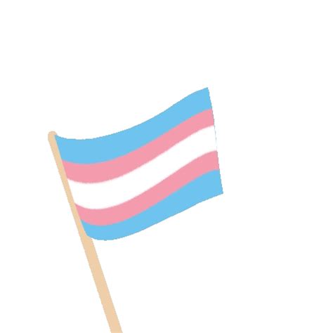 Trans Flag Trans  Trending  On Vif