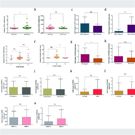A The Expression Level Of The Eepd1 Gene In Breast Cancer 36 Tissues