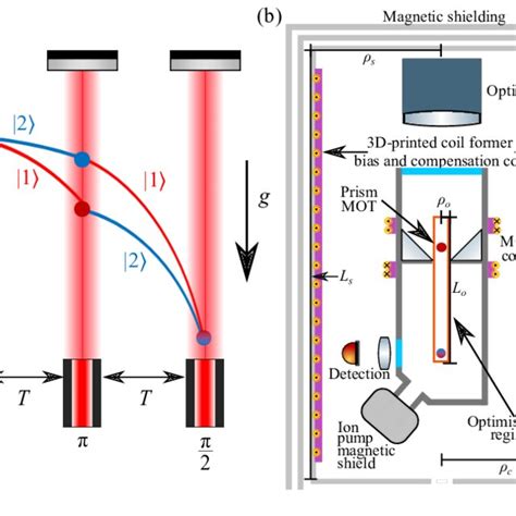 A Gravity G Is Measured Using A Mach Zehnder Atom Interferometry Download Scientific